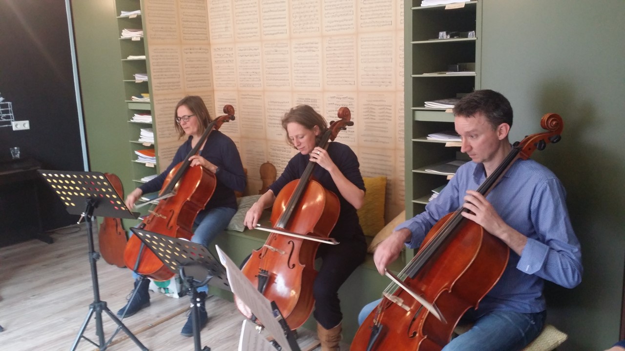 Cello Les in regio Amsterdam en Arnhem | Boek je Proefles Nu! (Tip!)